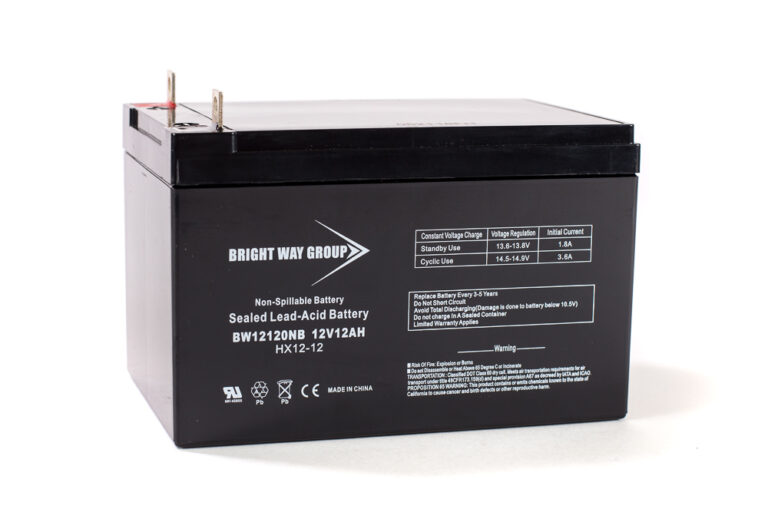 Bright Way BW 12120 NB SLA (AGM) Battery - Battery Store, Inc.