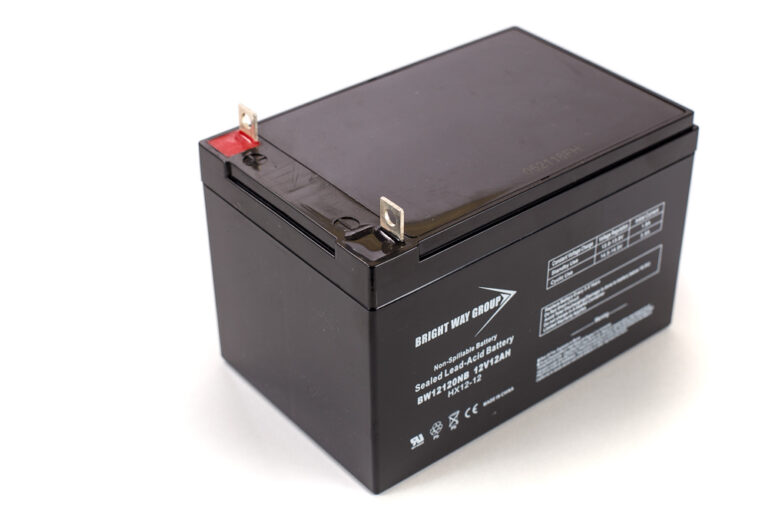 Bright Way BW 12120 NB SLA (AGM) Battery - Battery Store, Inc.