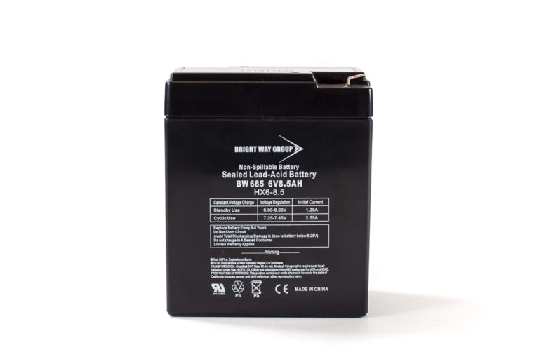 Bright Way BW 685 SLA (AGM) Battery - Battery Store, Inc.