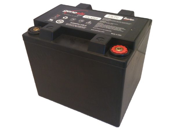 EnerSys Genesis G42EP 0766-2001 Lead Acid (AGM-TPPL) Battery - Battery ...